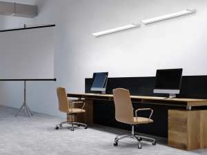 Clarity Multi-Purpose Linear - LSI Lighting